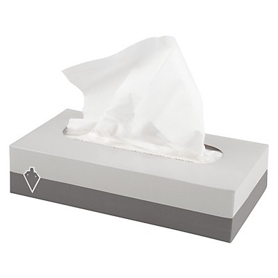 TOUGH GUY Facial Tissue Flat Box 2 Ply PK30 - Argent Products